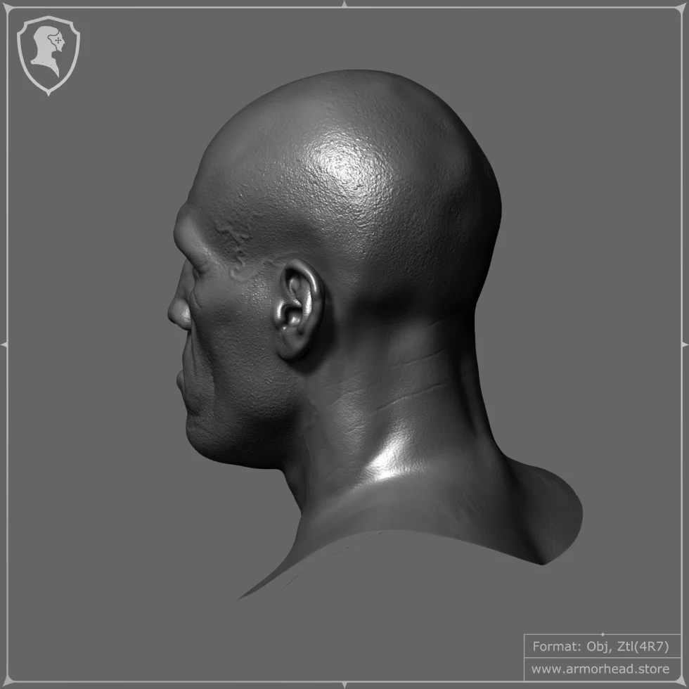 Warrior Head — ARMORHEAD