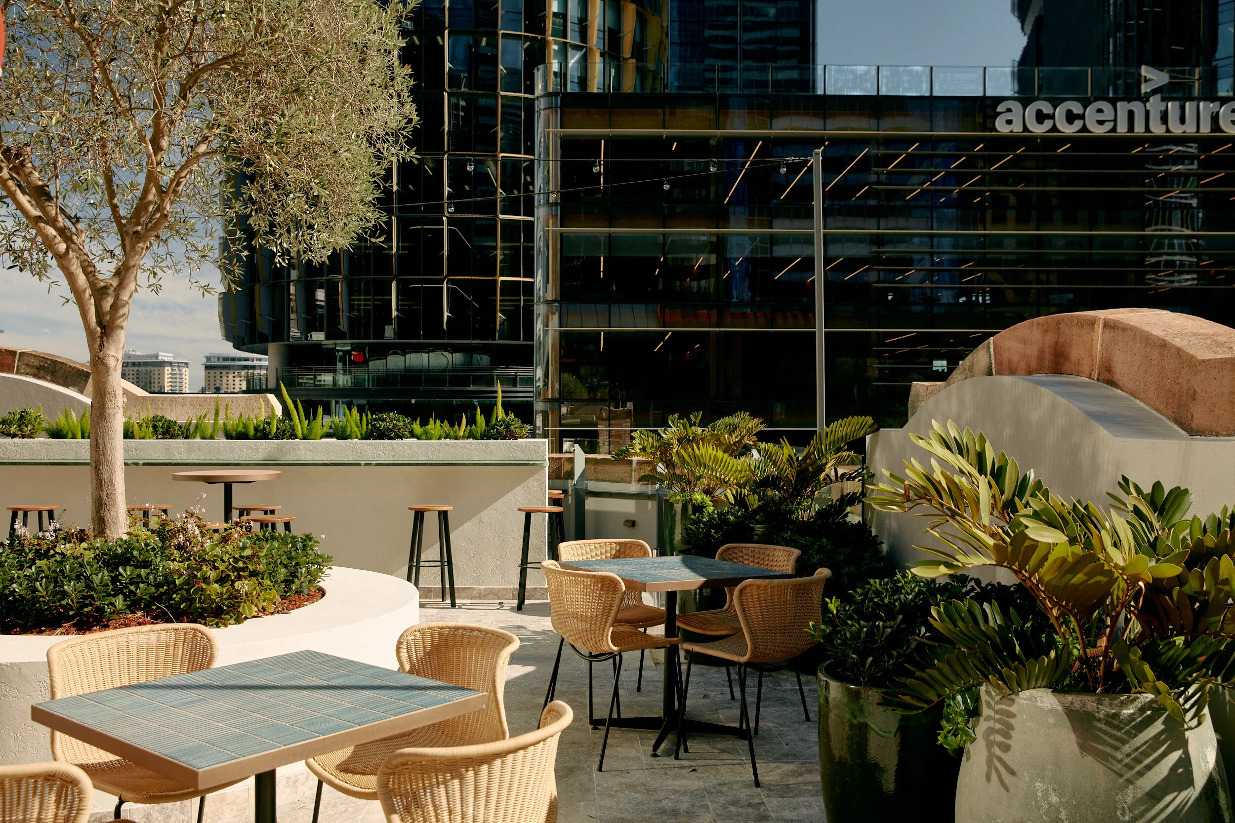 Rooftop — The Sussex