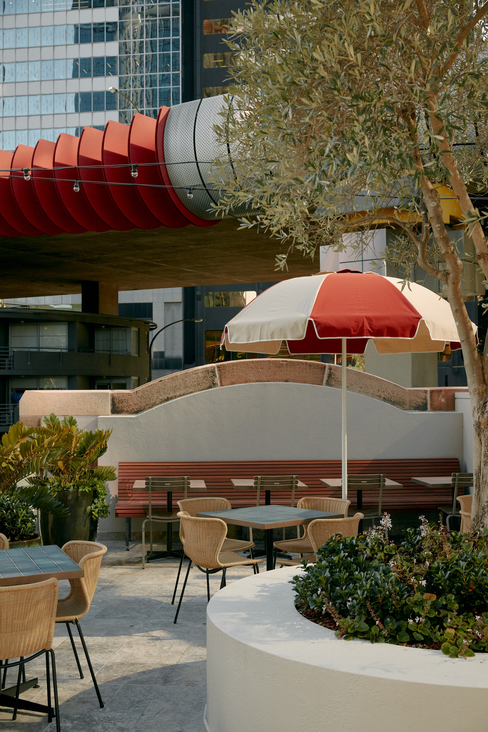 Rooftop — The Sussex