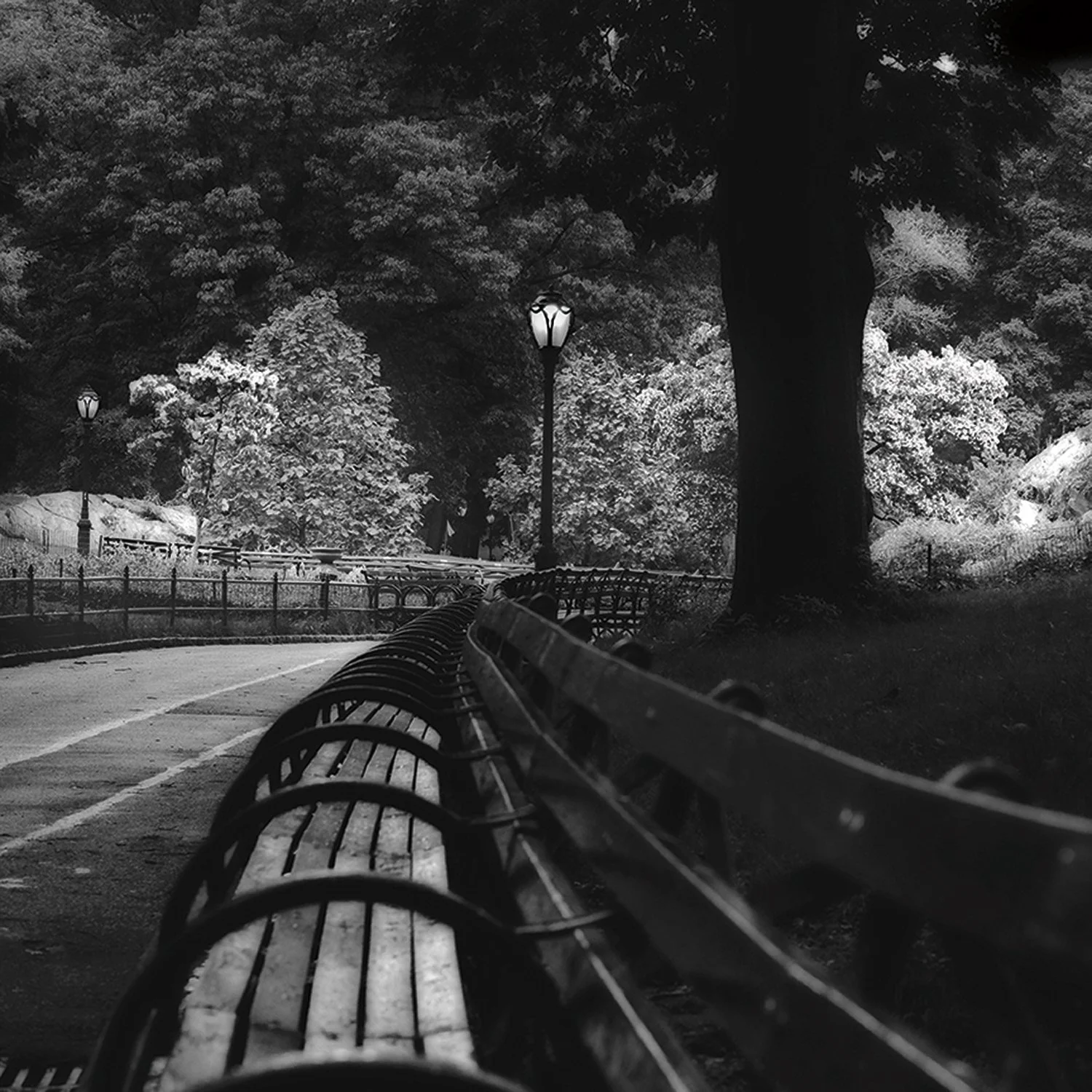 Steve Dreyer Photography