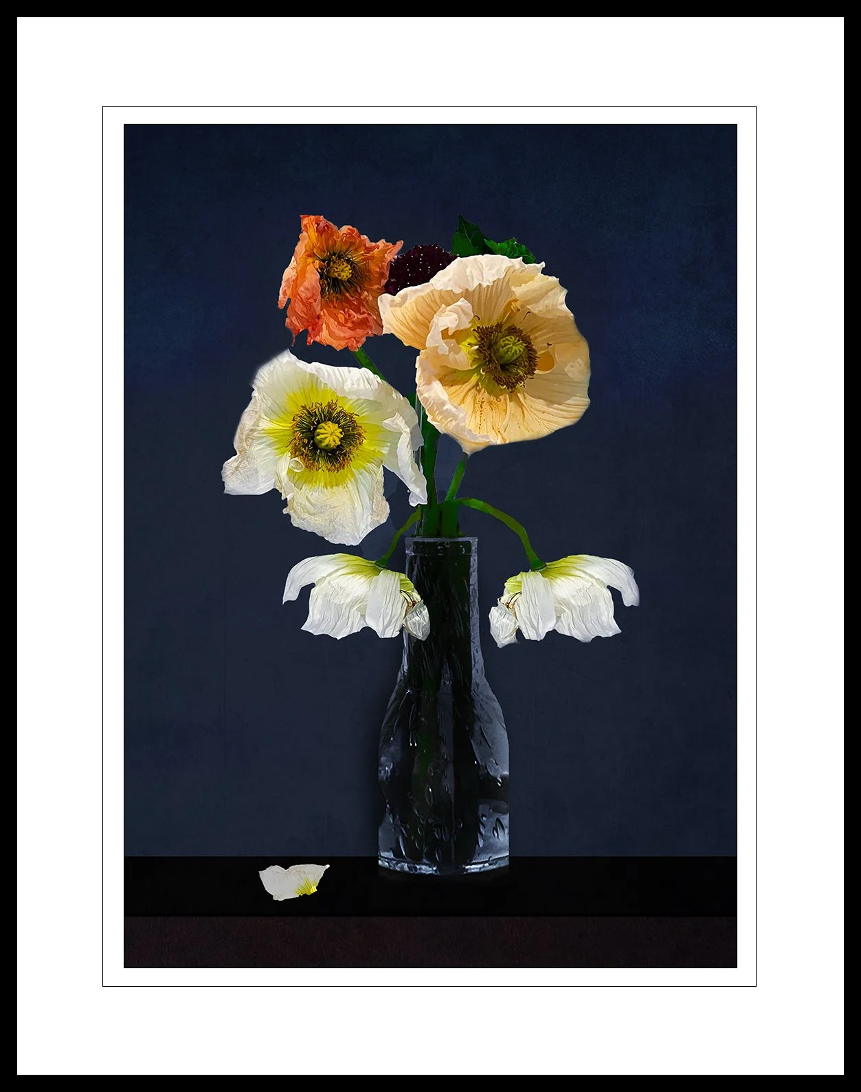 Steve Dreyer Photography