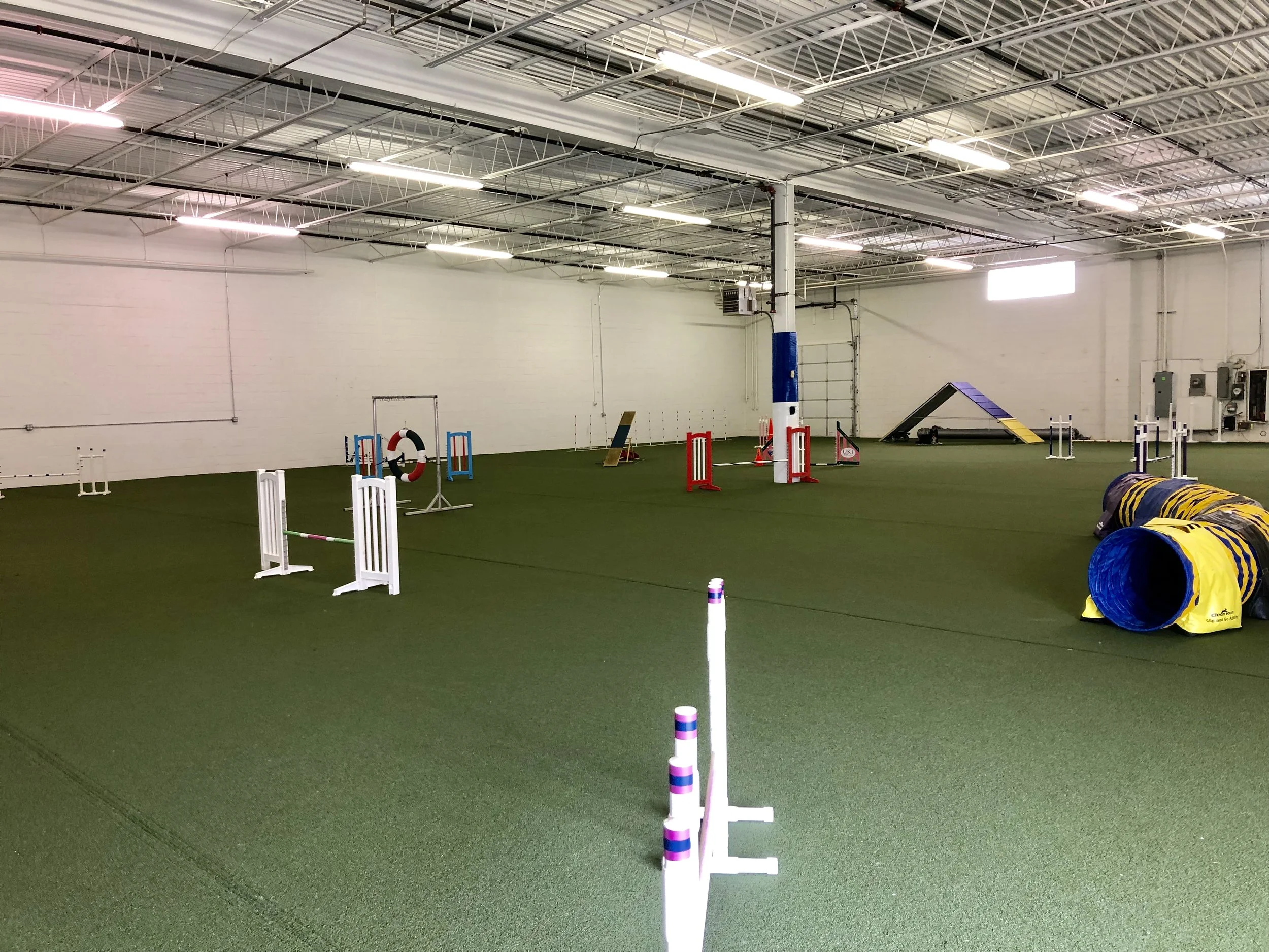 Dog Agility Indoor