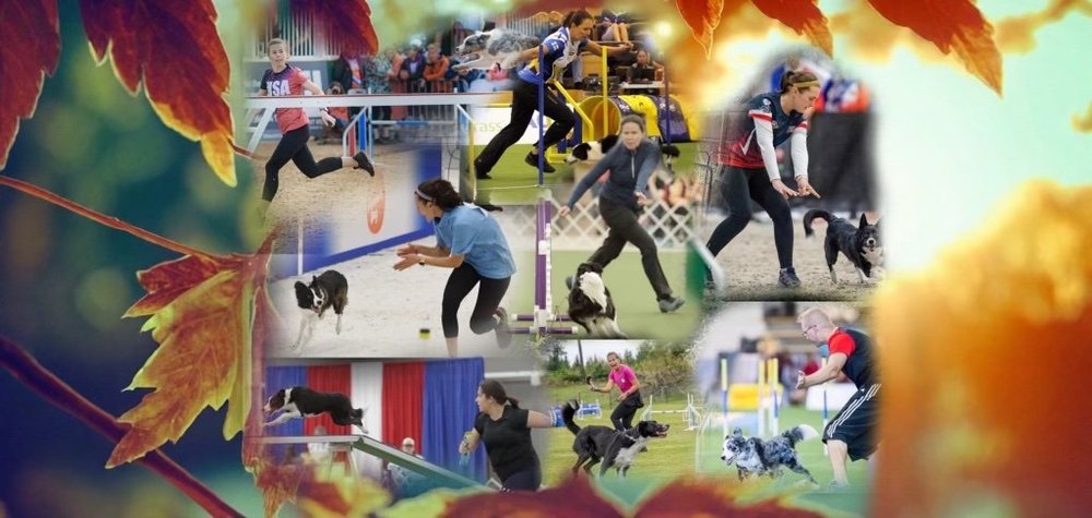 Fall Frenzy 2024 Schedule is HERE!! — UDog Agility