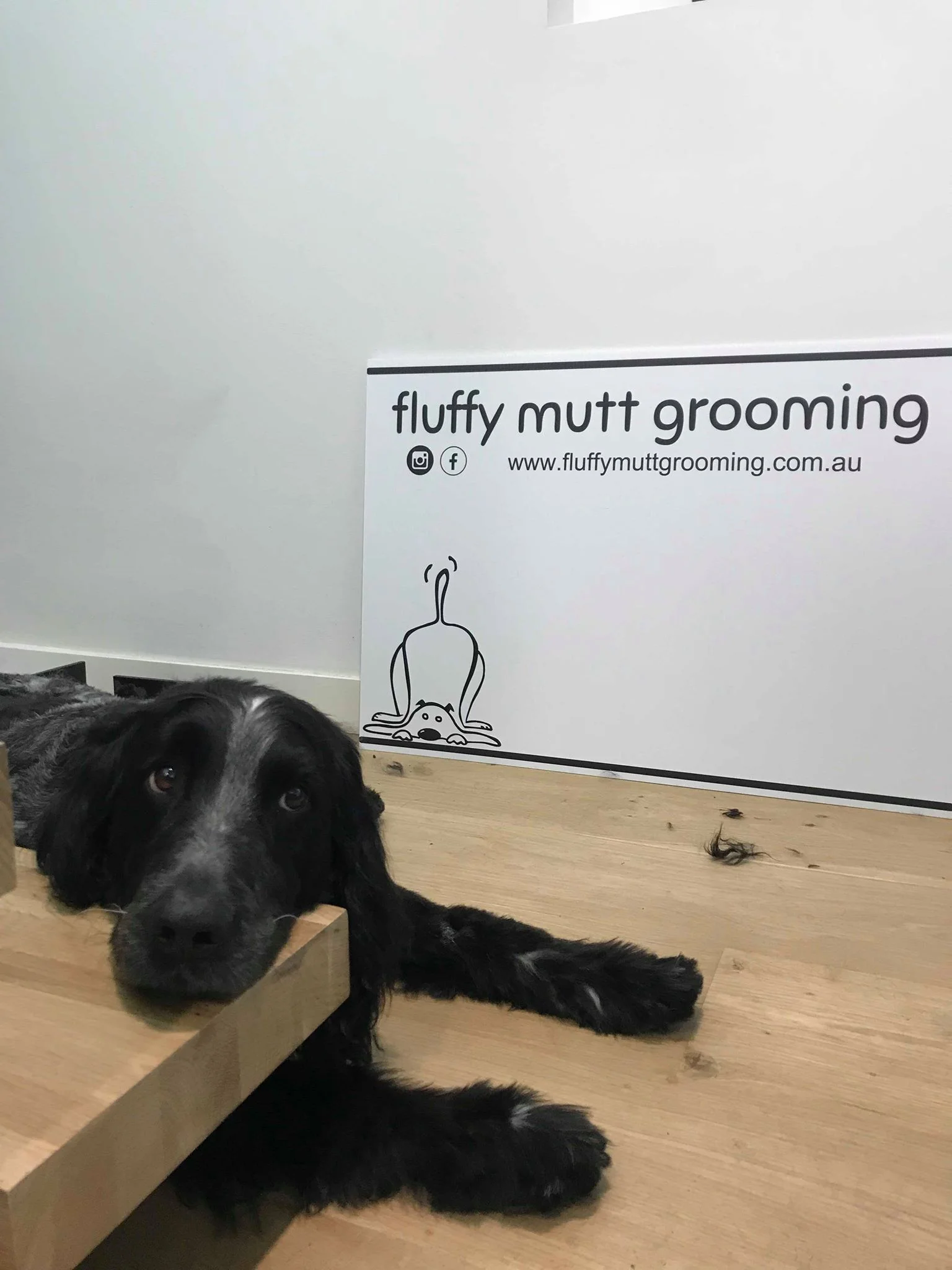 Fluffy Mutt Grooming
