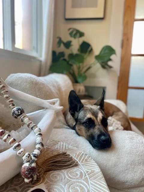 True Yang Therapy-about-marni-levy