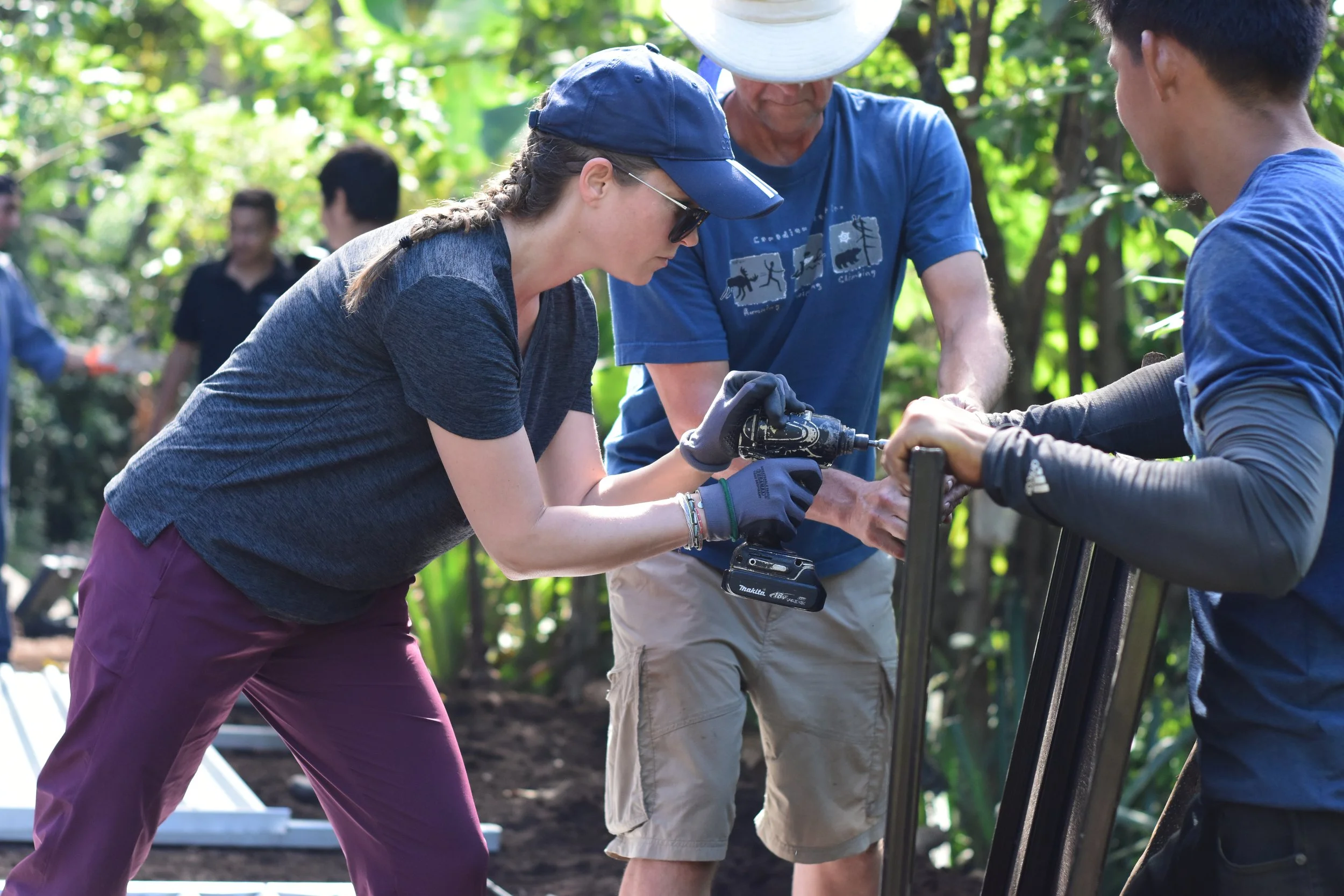 Shelter Immerse — Shelter