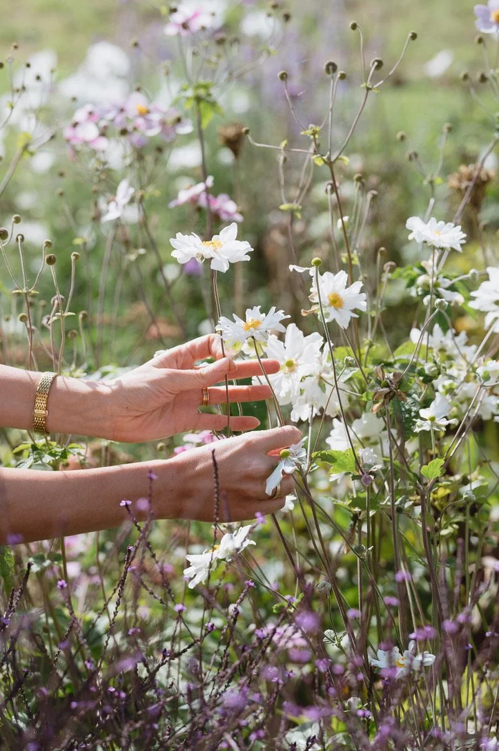 Flower Pressing Masterclasses — Netherwood Estate