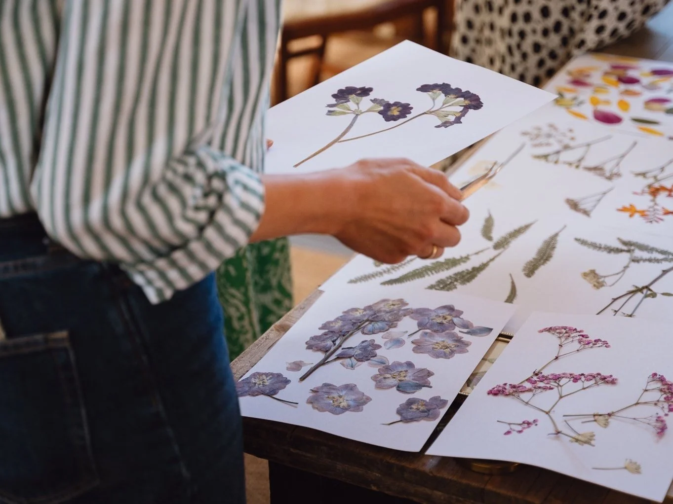 Flower Pressing Masterclasses — Netherwood Estate