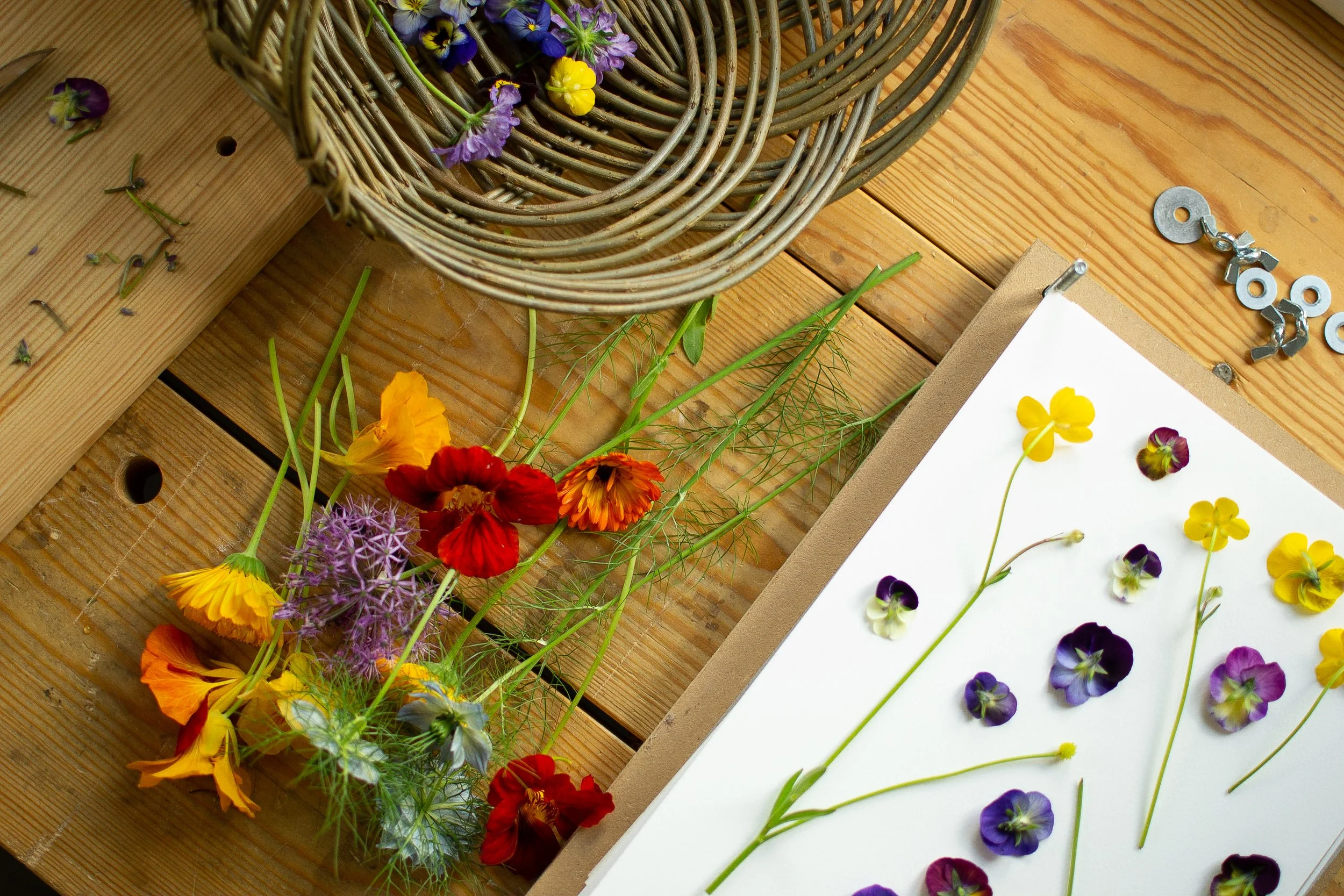 Masterclasses at the Netherwood Estate — Netherwood Estate