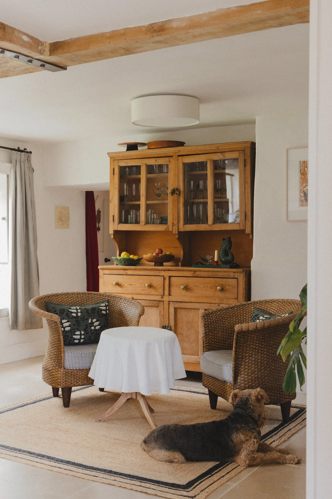 Dolly — STUDIO CLEMENT