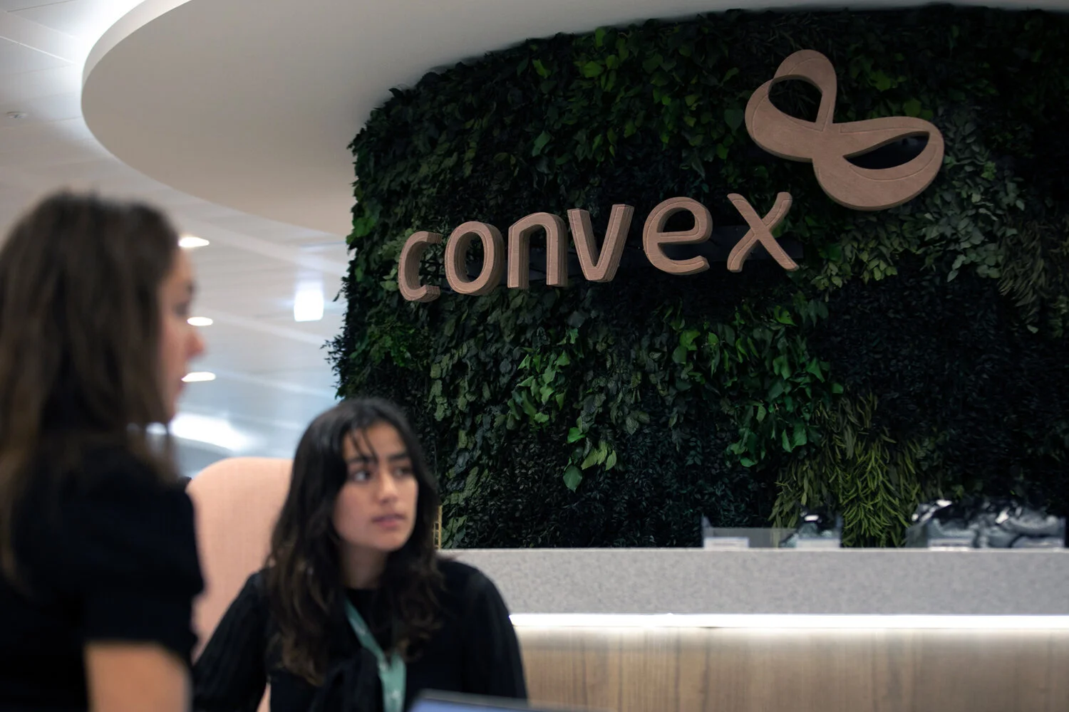 Convex Insurance Brand — Pangaea