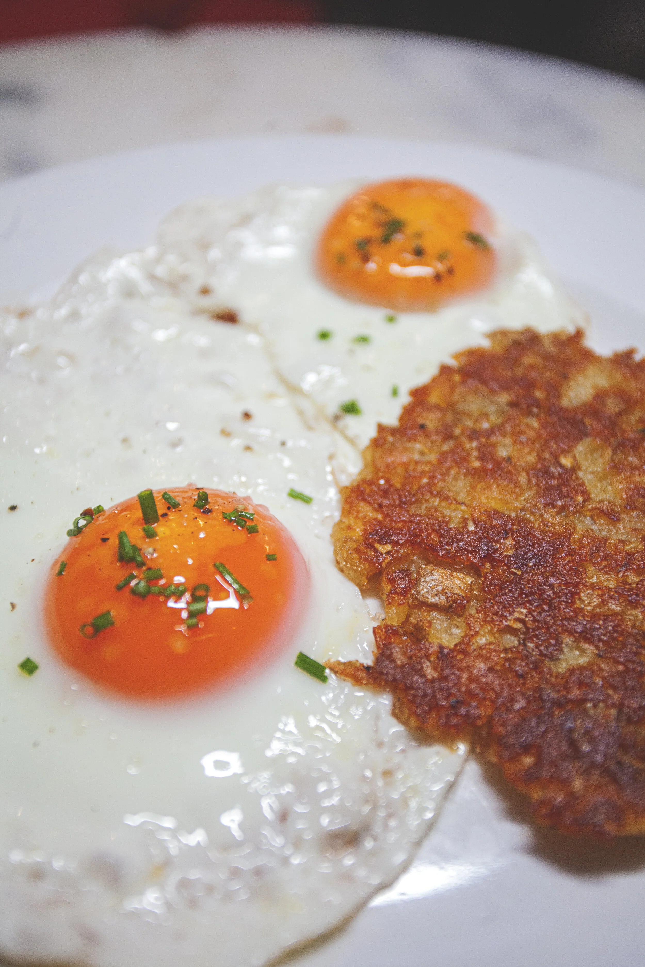 Guanabana Restaurant - BYOB Bottomless Brunch Camden — Guanabana Restaurant