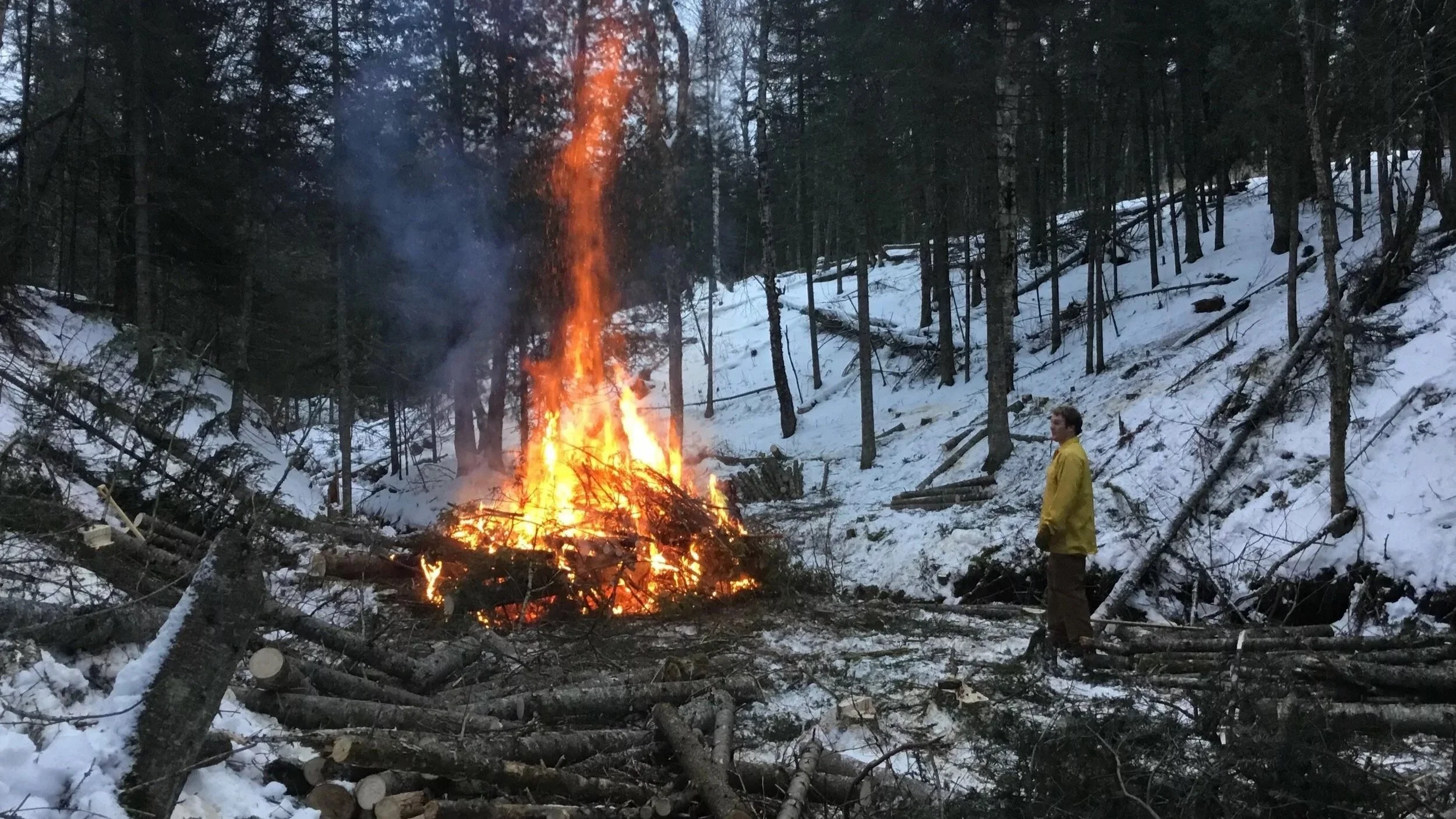 Expert FireWise Treatment & Fire Mitigation Services in Northern ...
