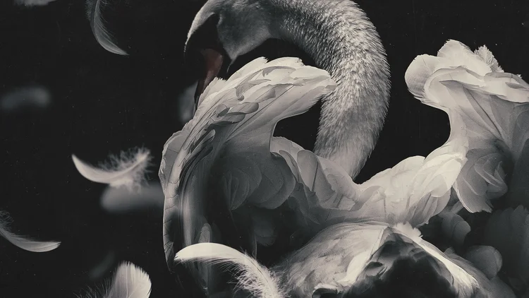 Feud: Capote Vs. The Swans | Nick Ford