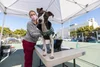 Veterinary Street Outreach Services — SFCCC