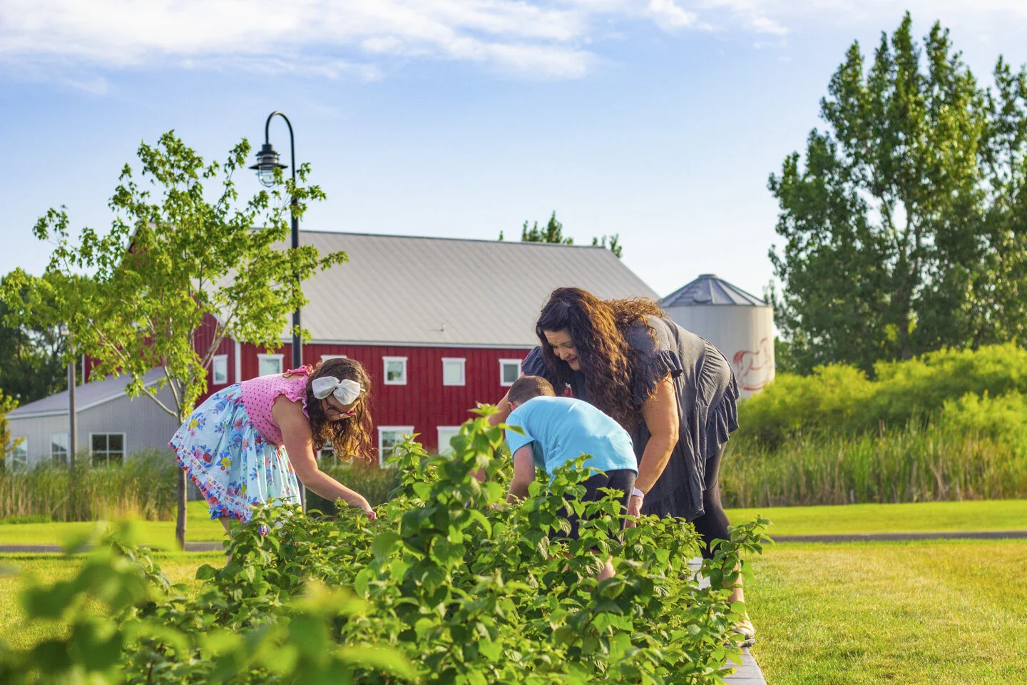 Rocking Horse Farm