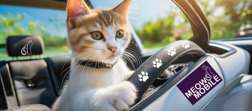 Meow Mobile