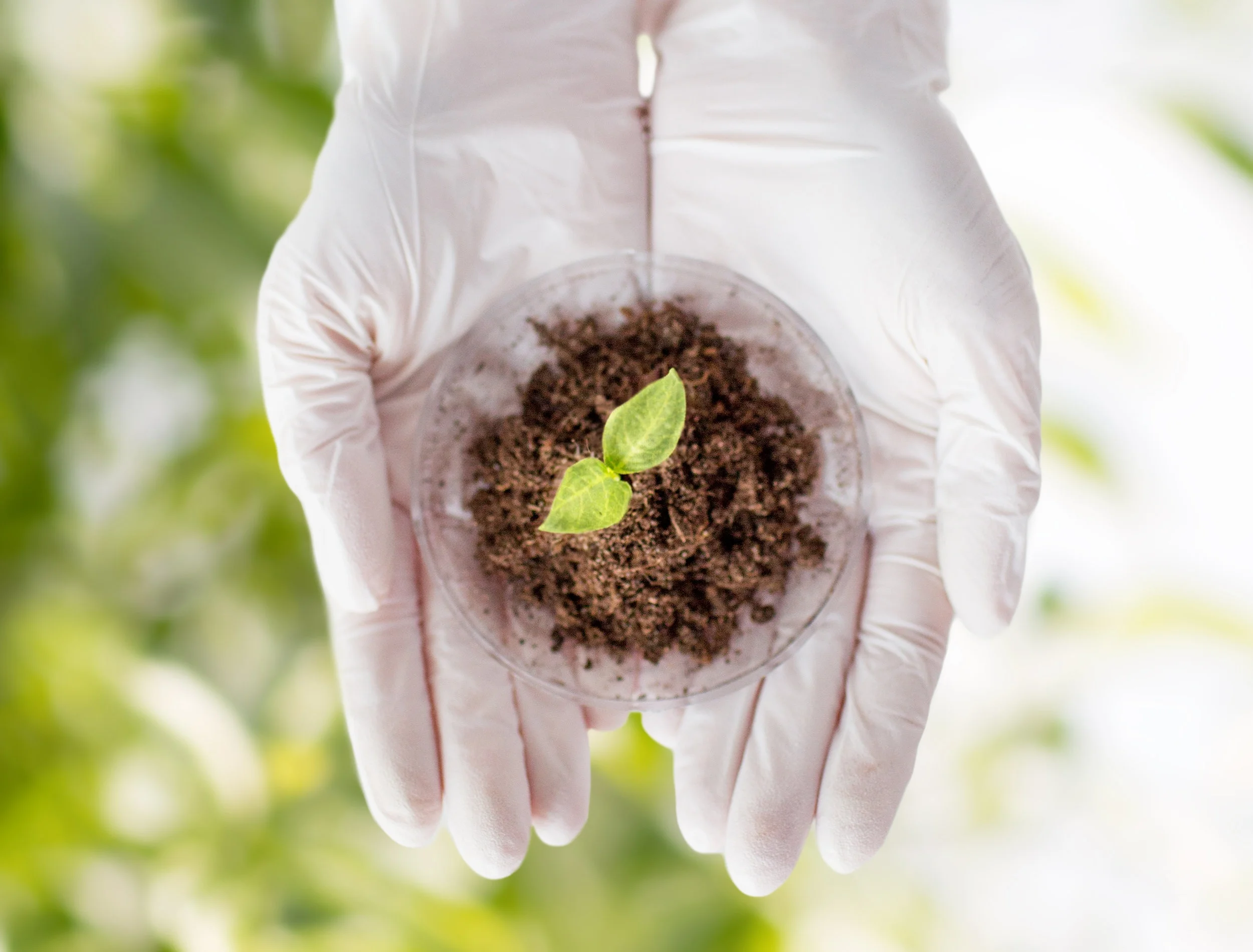 Green Lab Associates