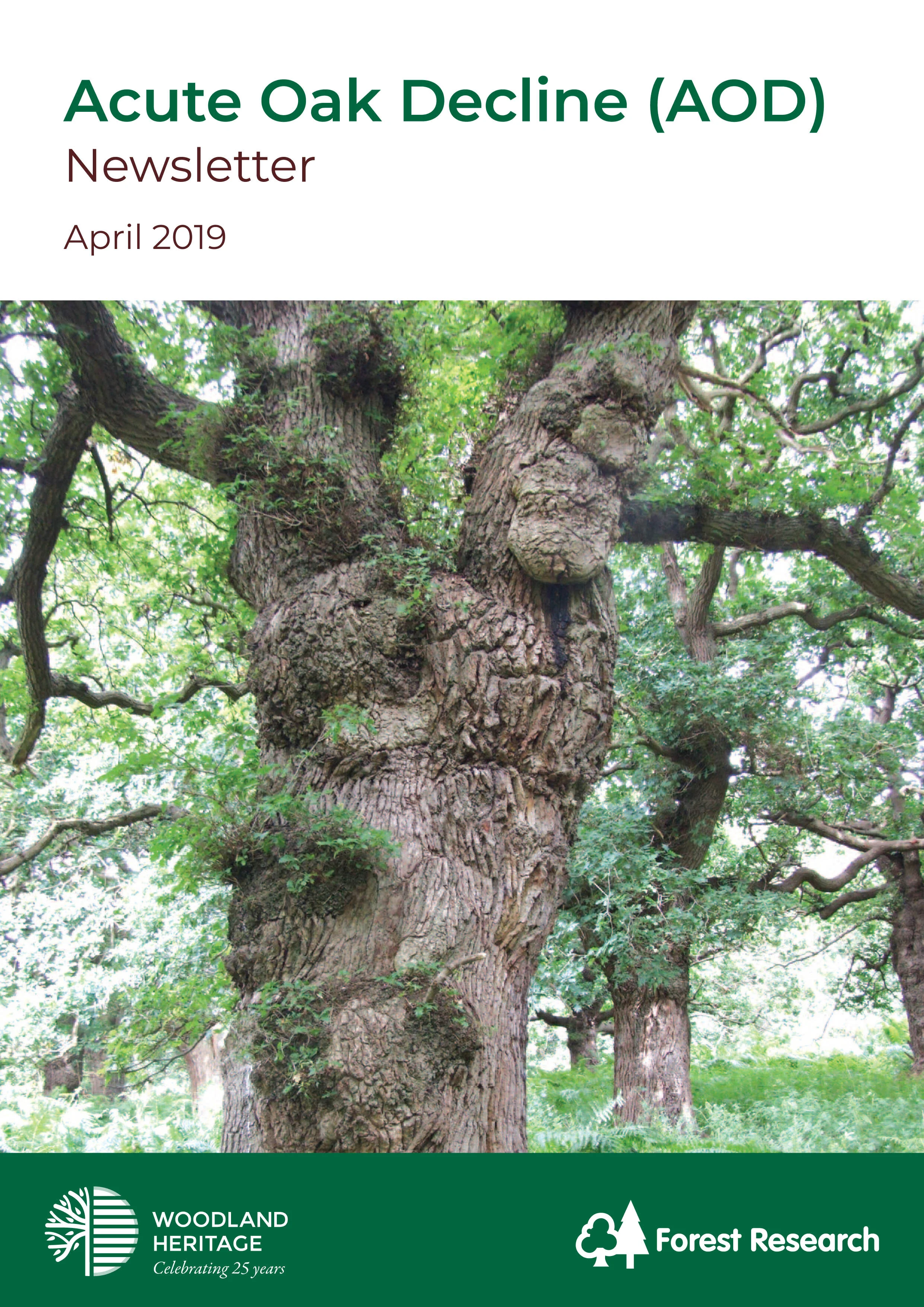 Acute Oak Decline — Woodland Heritage