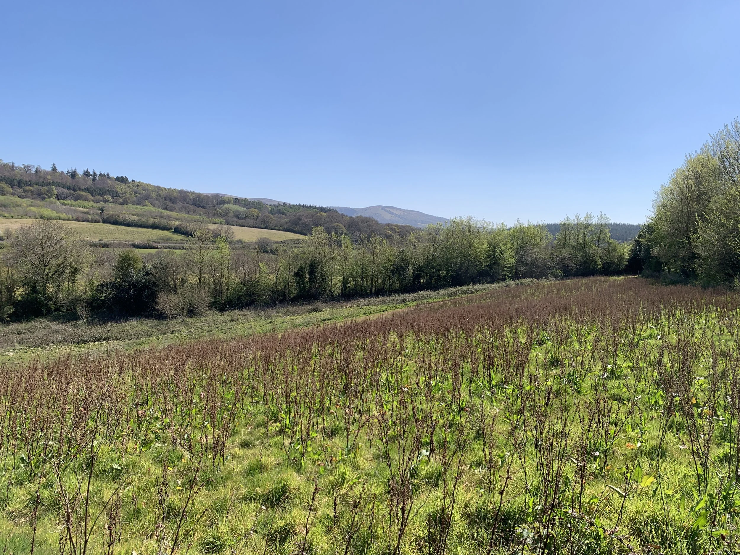 James Wood — Woodland Heritage