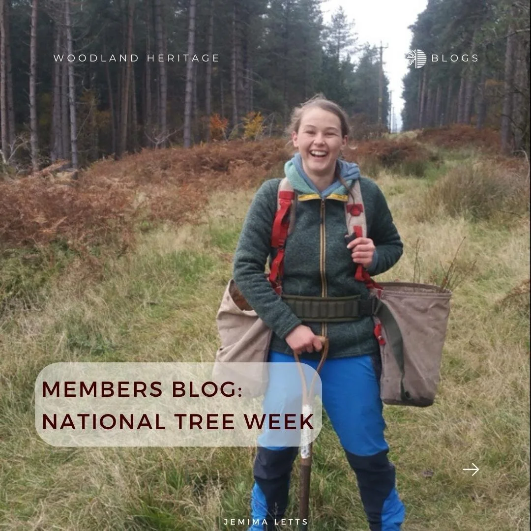 Welcome to Woodland Heritage - the charity for the future of British woods