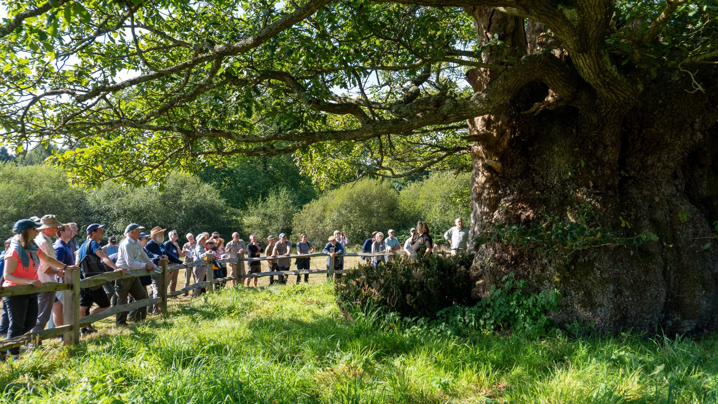 Open Woods & Workshops — Woodland Heritage