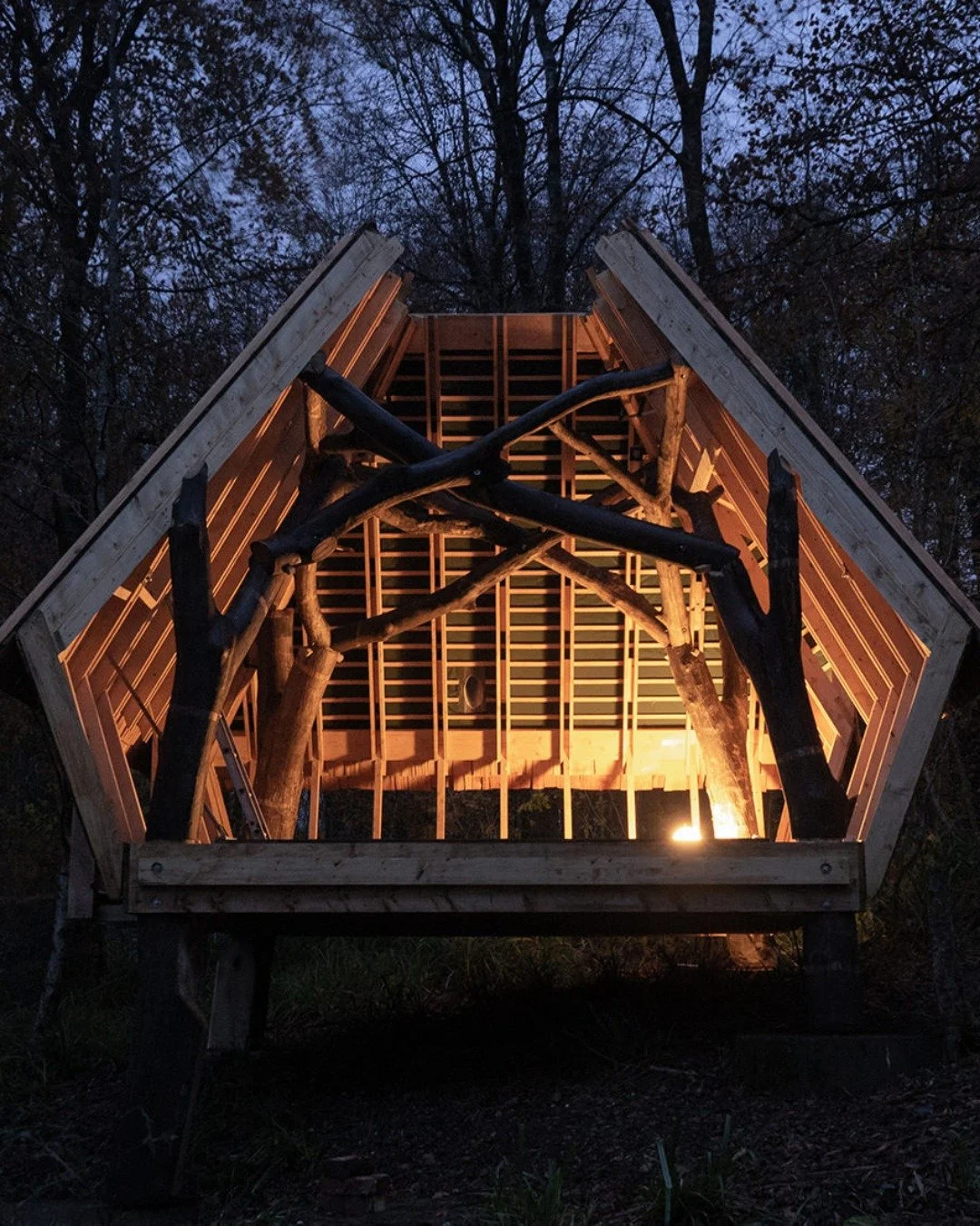 Welcome to Woodland Heritage - the charity for the future of British woods