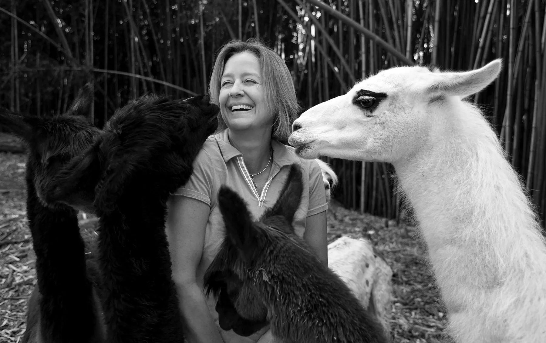 About Us — Atlanta Alpaca Treehouse