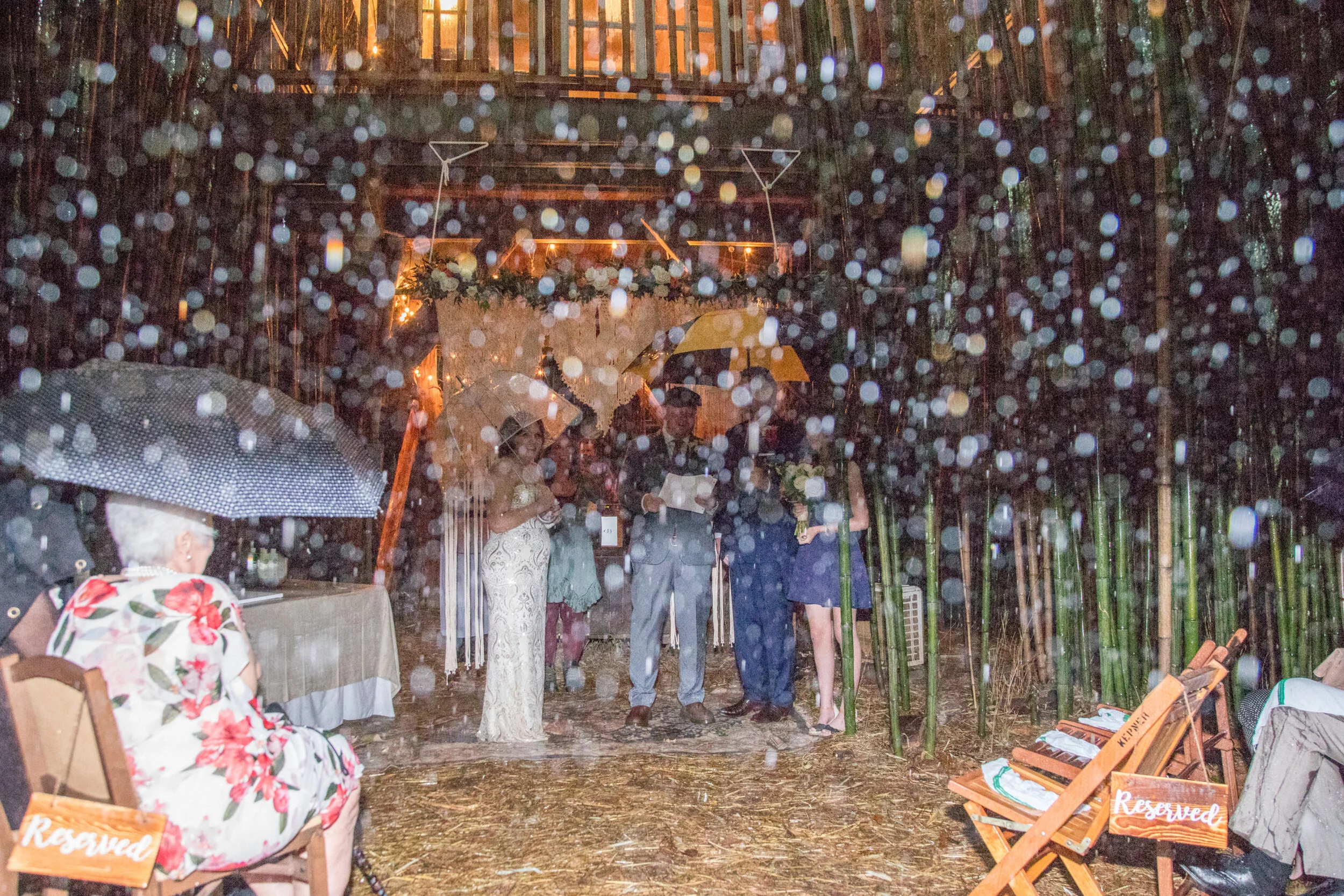Weddings — Atlanta Alpaca Treehouse