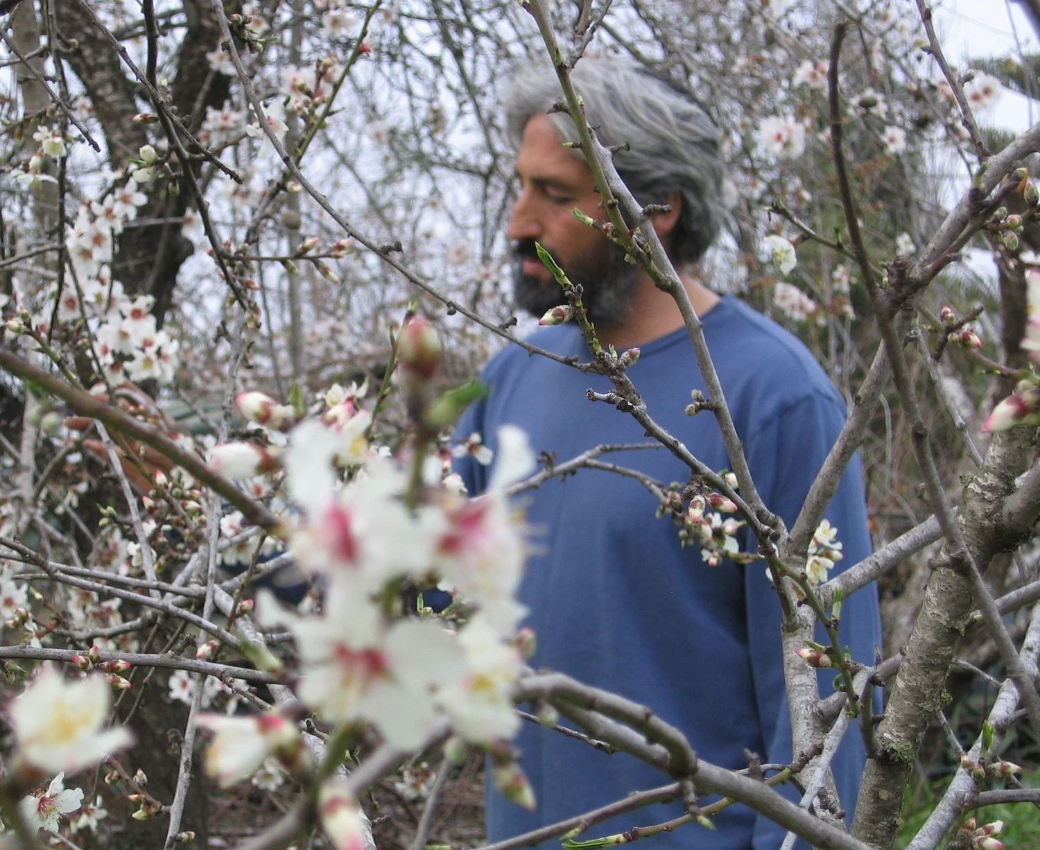 Storyline — Raanan Art