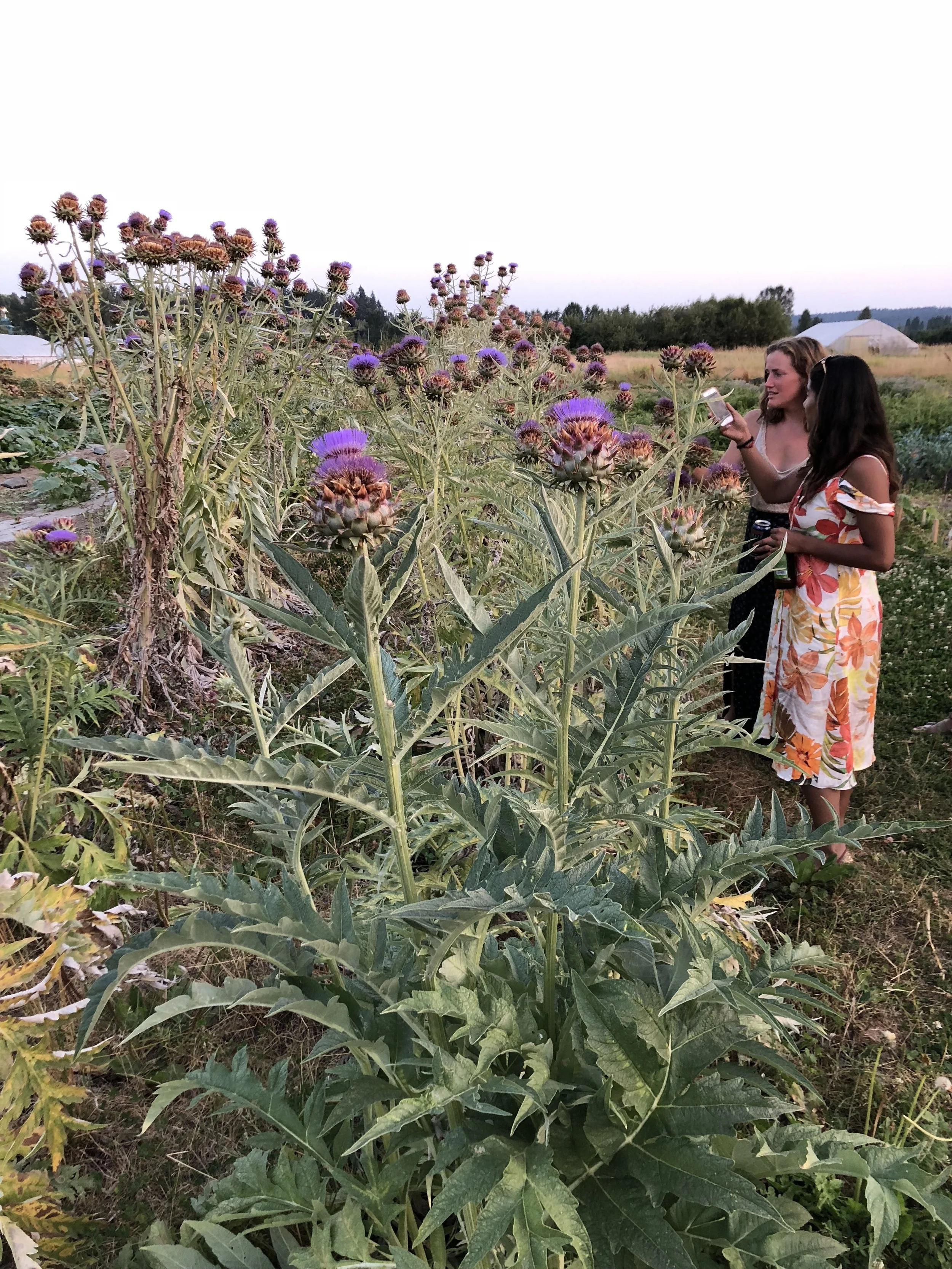 What is Ecolibrium? — Ecolibrium Farms