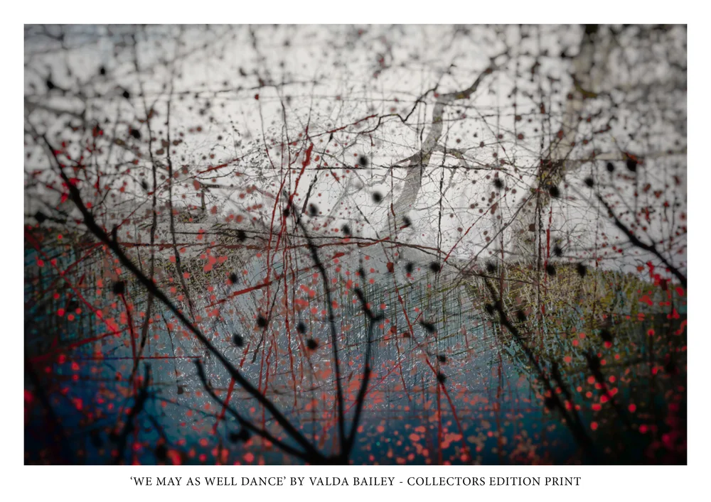 ‘We May As Well Dance’ By Valda Bailey IN STOCK! — Kozu Books