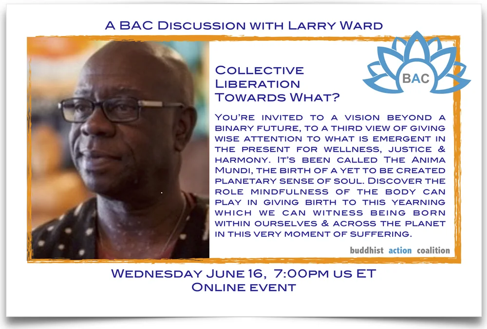 Collective Liberation Towards What? A Talk and Discussion with DR ...