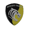 Bengeo Tigers FC - Football club Hertford