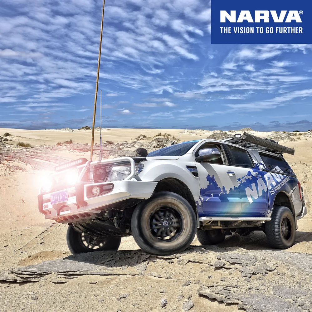 LEADERS IN AUTOMOTIVE — Brown & Watson International