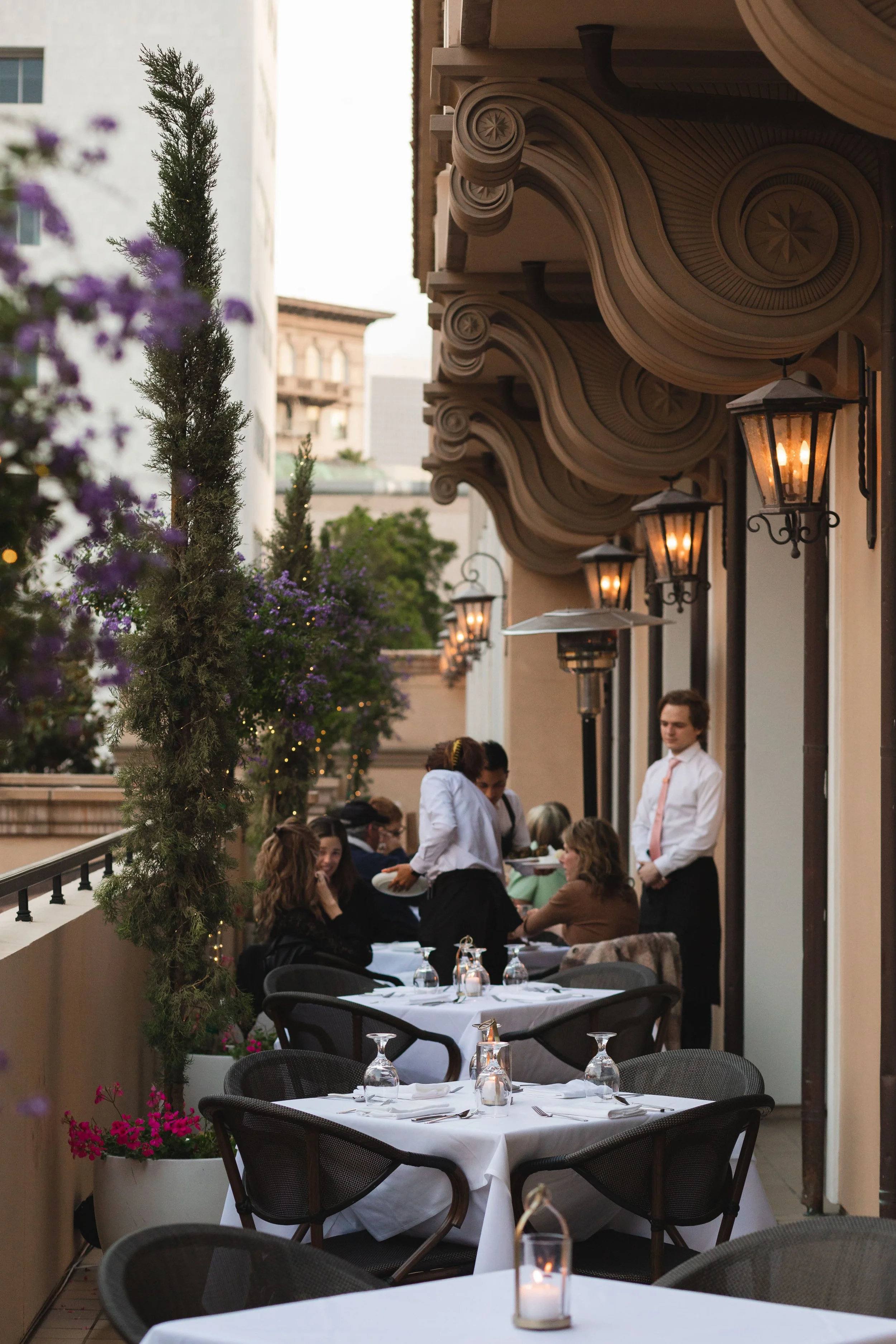 Sterling Reed Photography