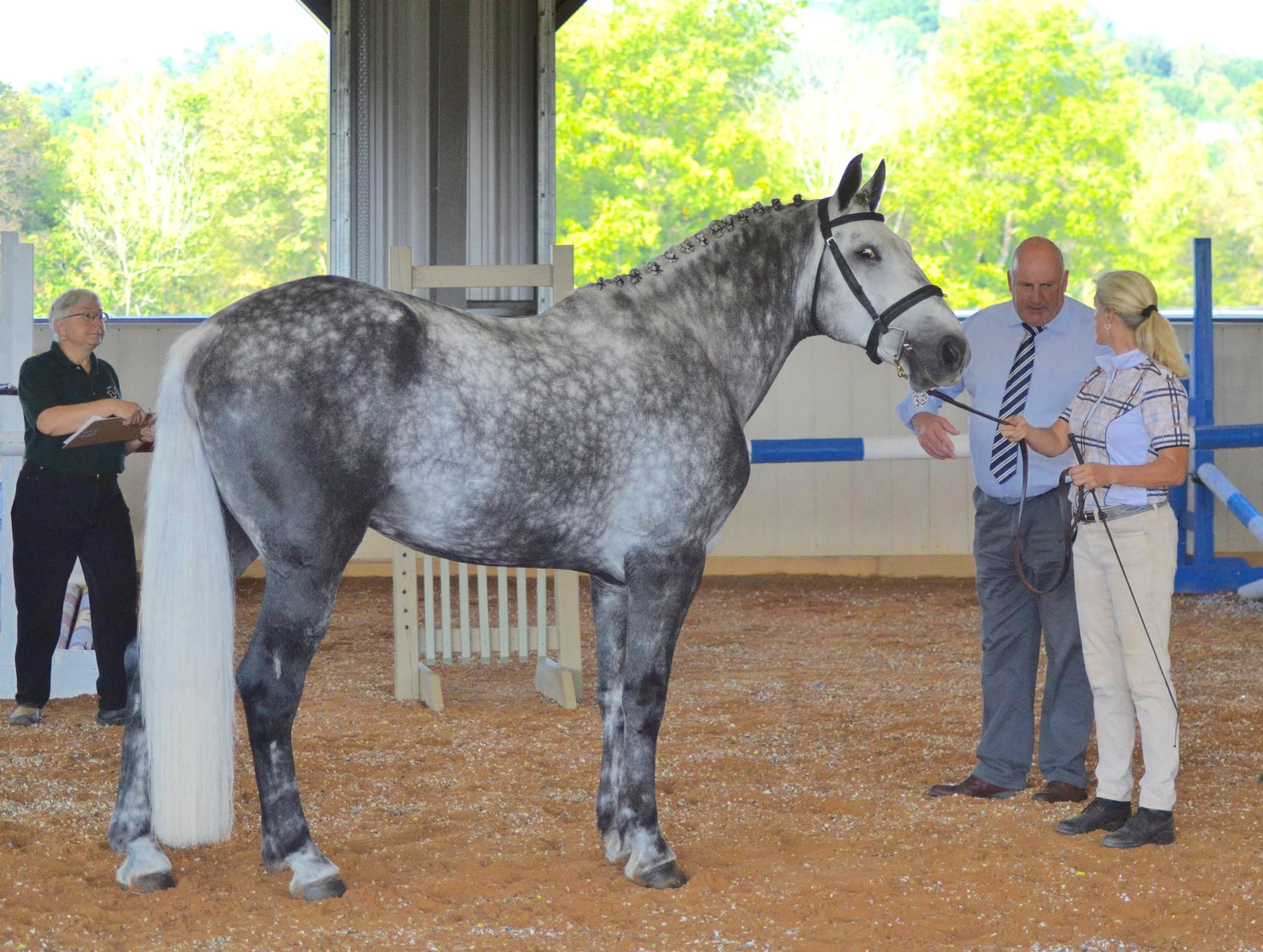 Cyan Night, RID — Starting Point Farm