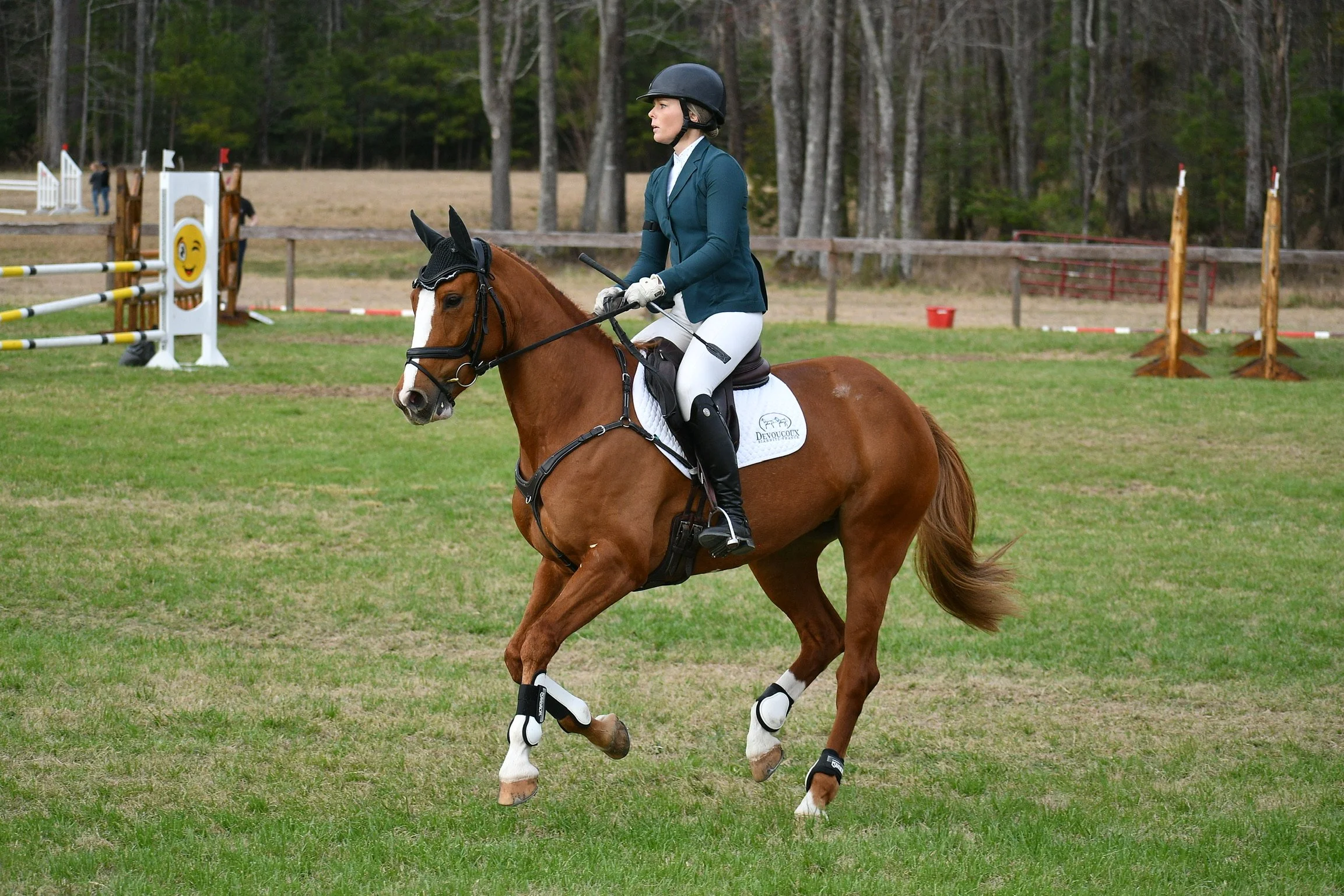 GoGo — Starting Point Farm