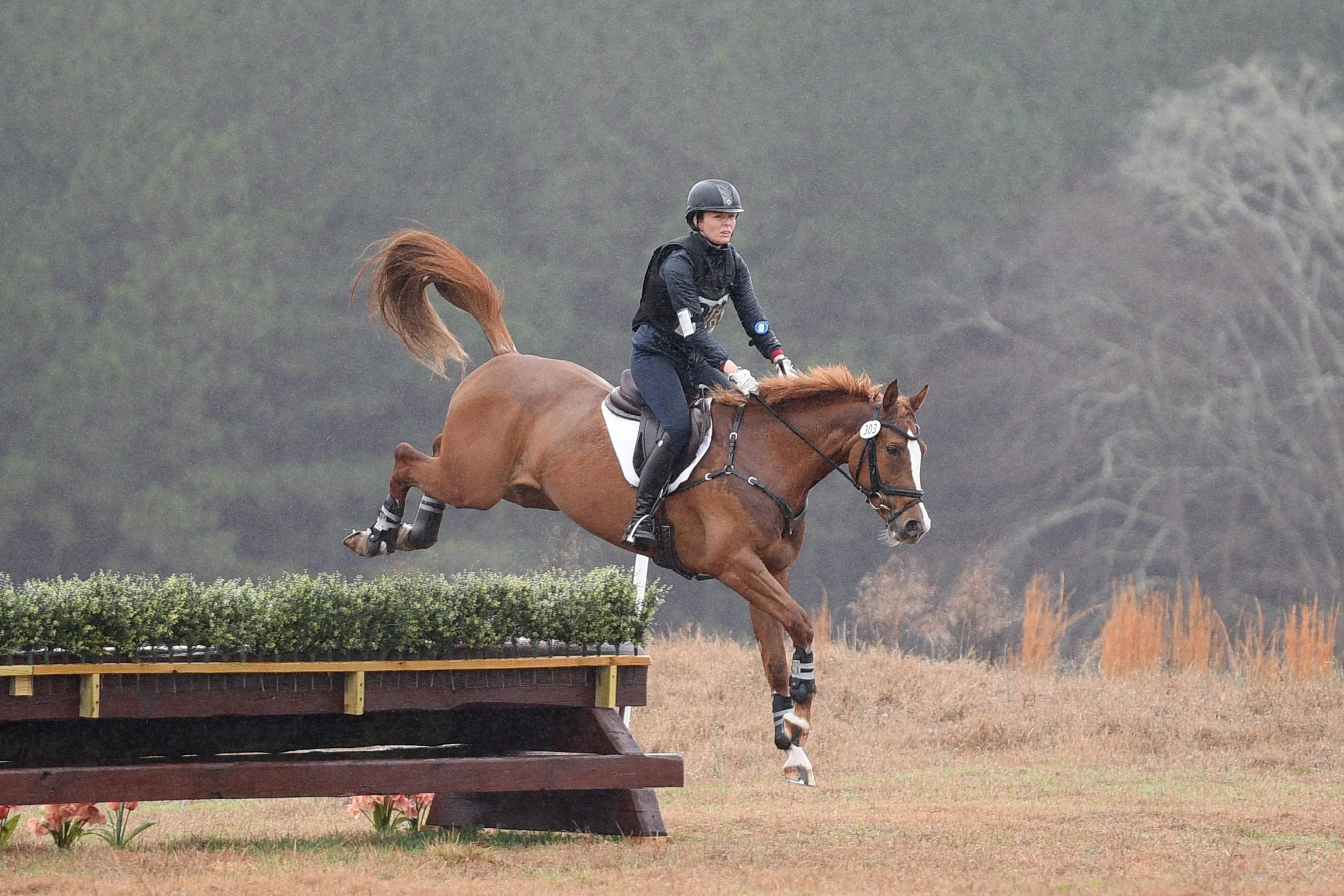 GoGo — Starting Point Farm