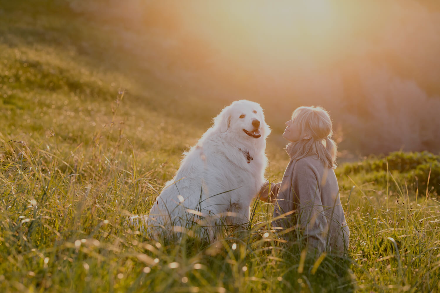 Hound In Hand | Dog and Pet Photography