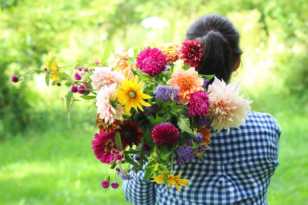 Flora Borealis Flower Farm | Flower Farm