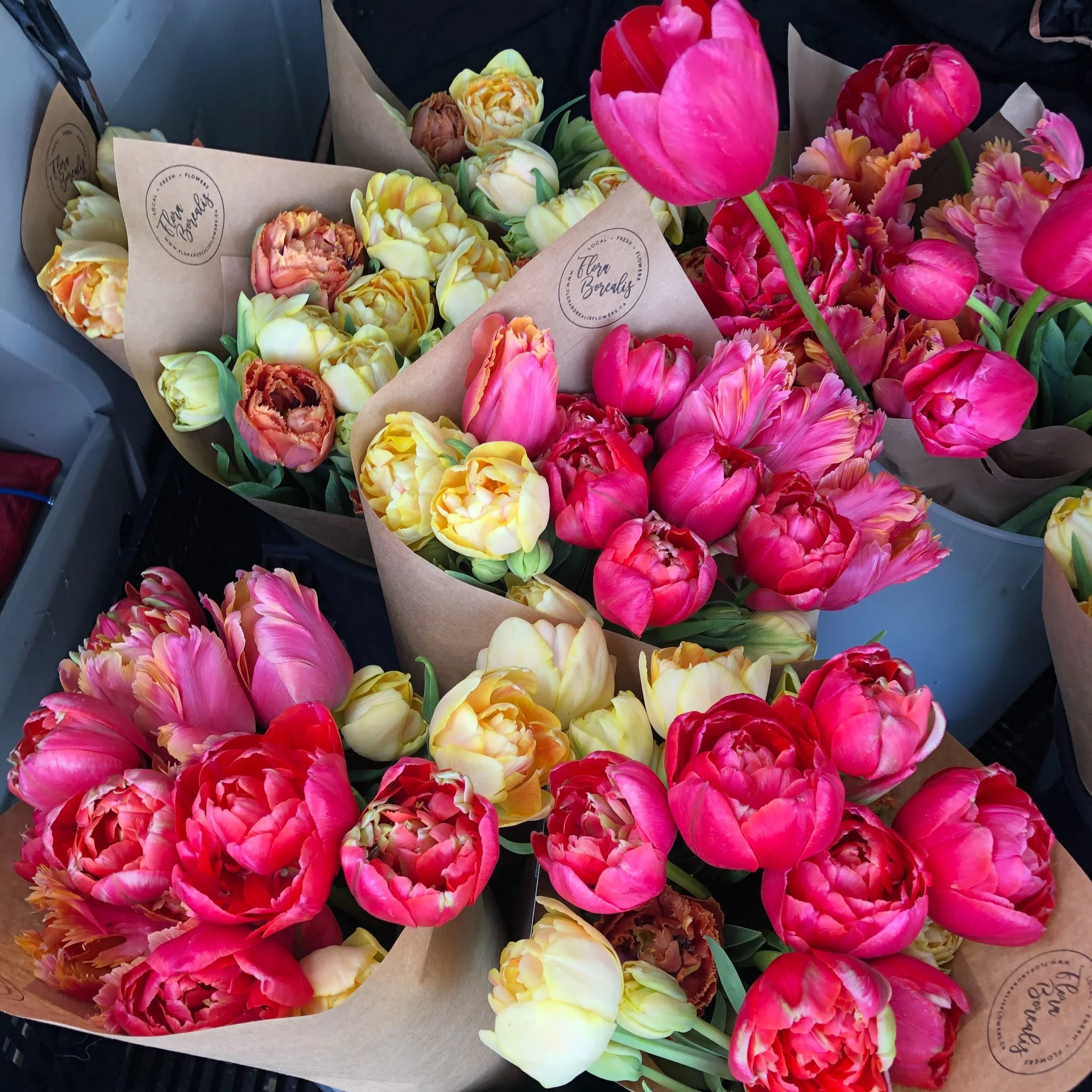 Subscriptions — Flora Borealis Flower Farm