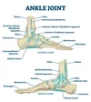 5 Best Ankle Mobility Exercises For Ankle Pain