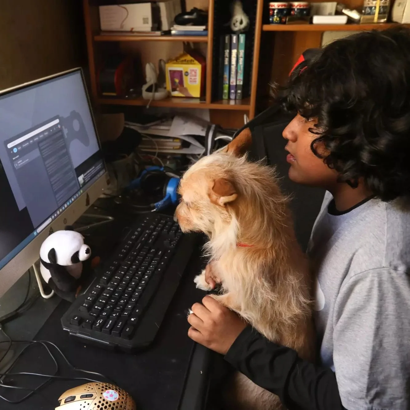 News & Blog — EveryoneOn