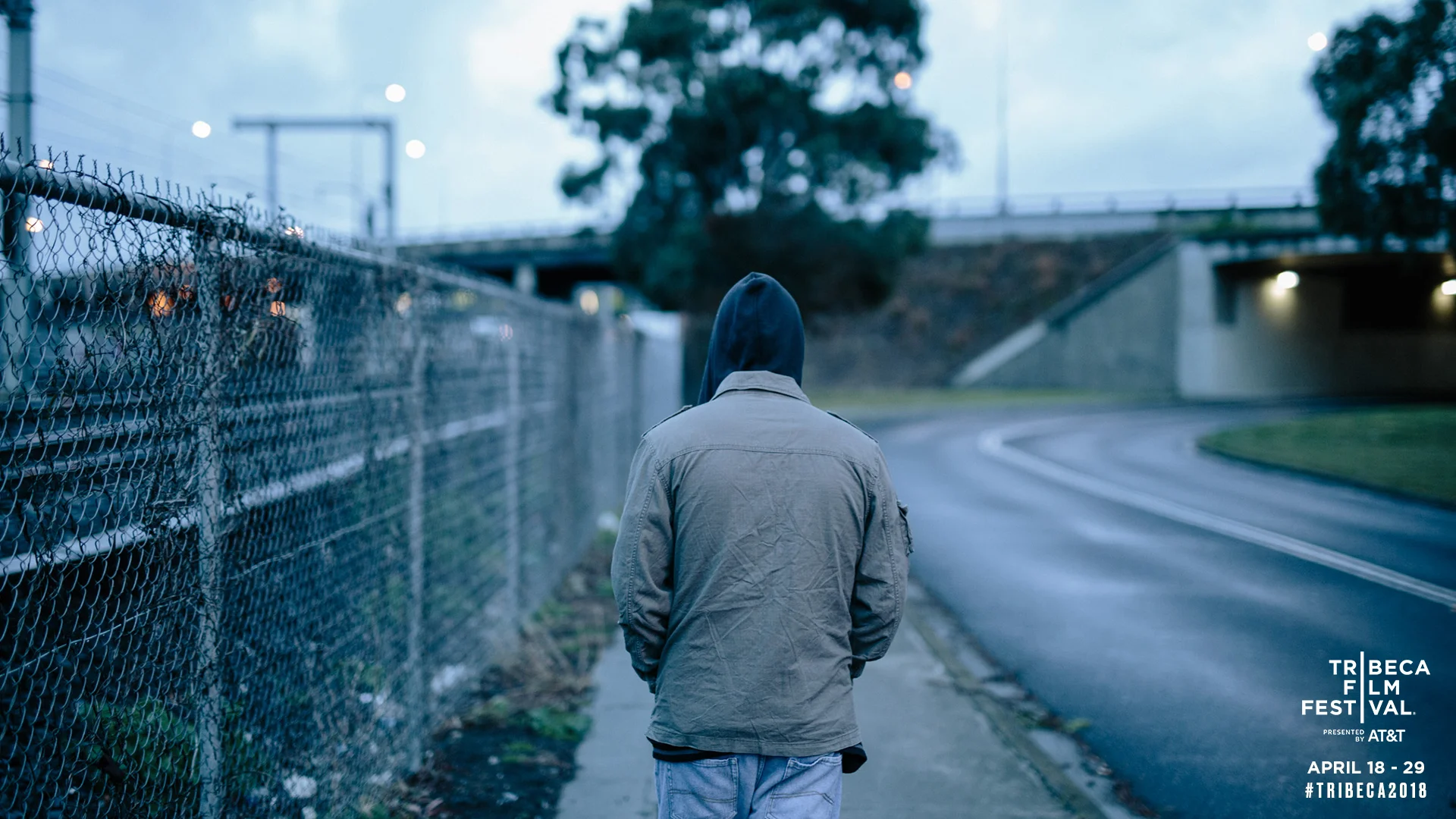 KNUCKLES — LAURA GROOMBRIDGE