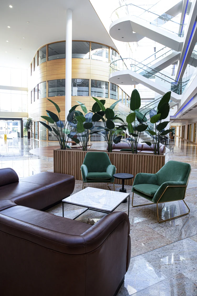 Classon House Cafe — NORTH DESIGN