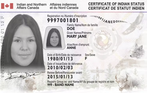 Status Cards — Native Montreal