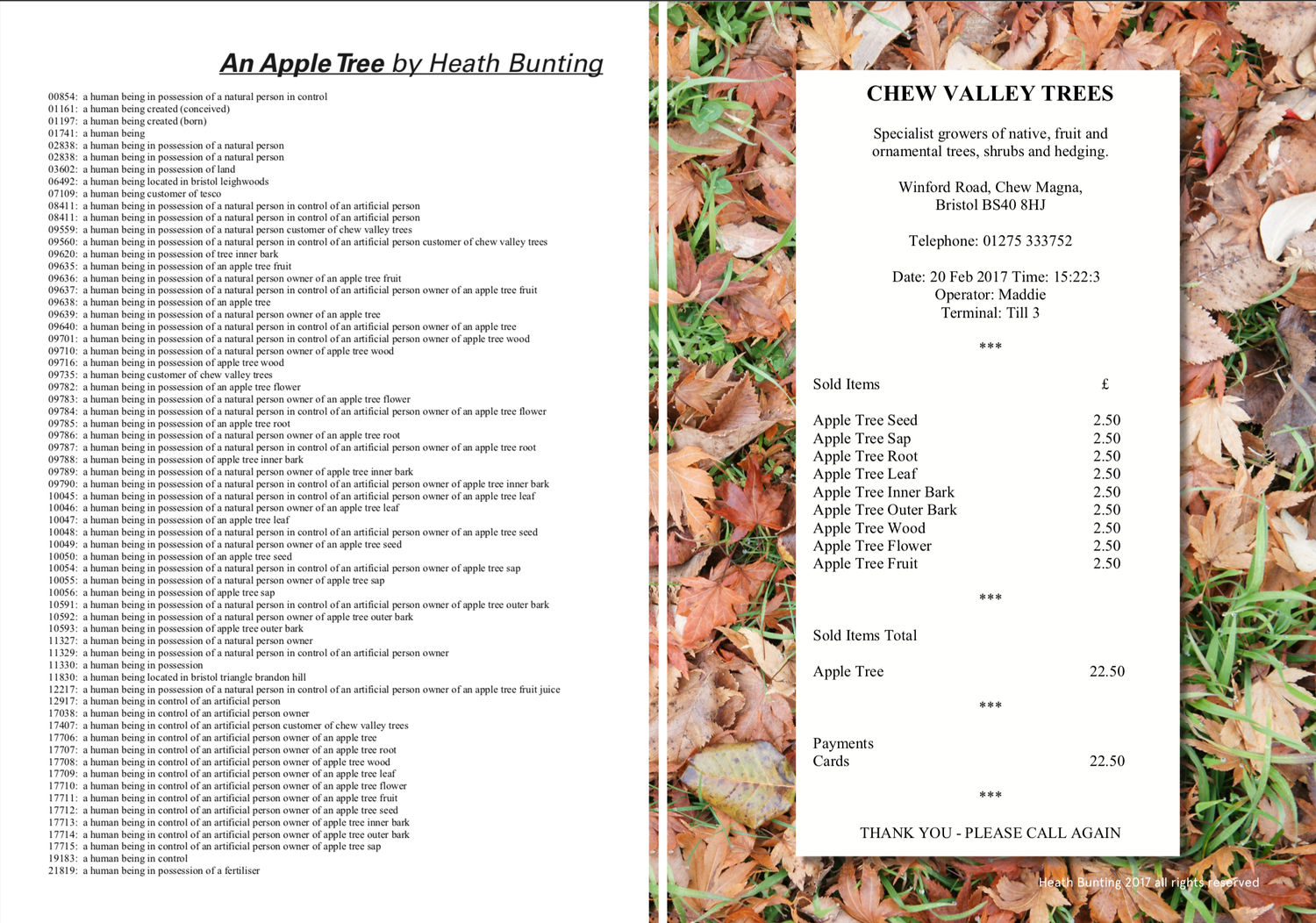 arebyte Digital Art Centre — Text: An Apple Tree by Heath Bunting