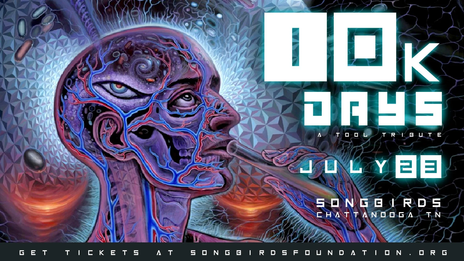 Songbirds Foundation