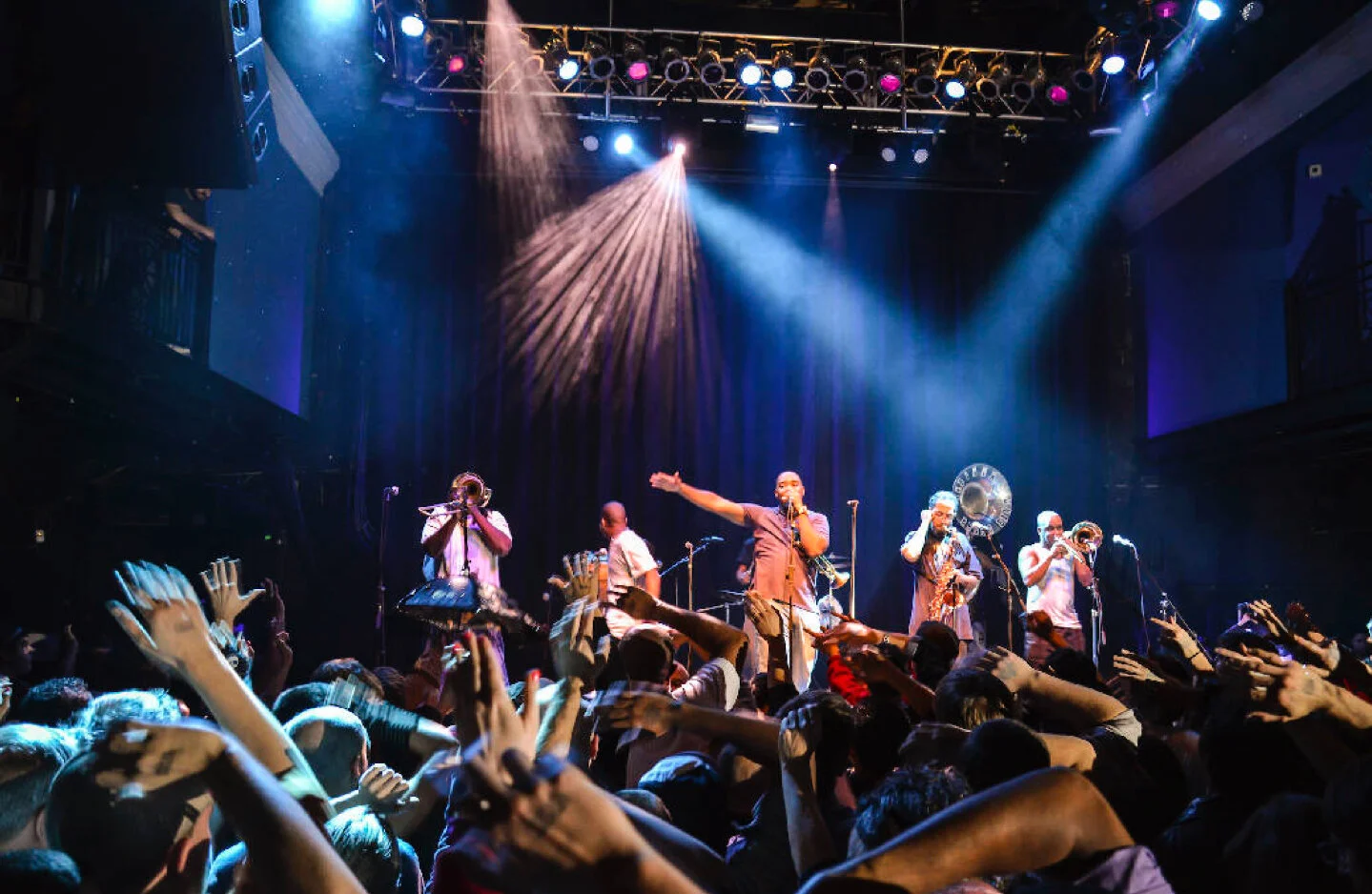 Songbirds Foundation